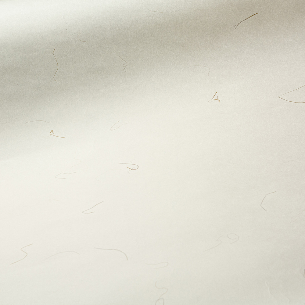 Igusa | ECHIZEN WASHI