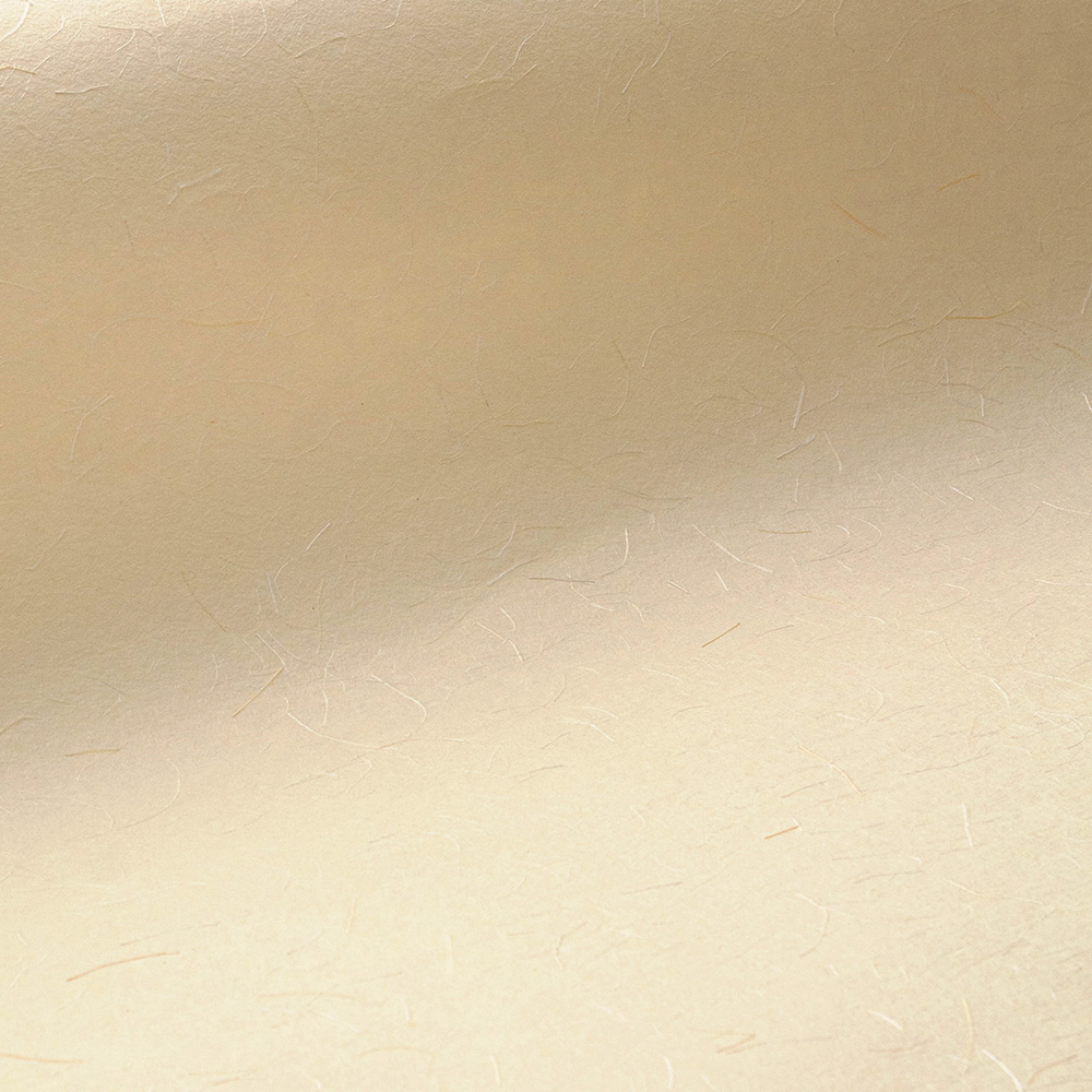 Japanese paper with long hemp fibers | ECHIZEN WASHI